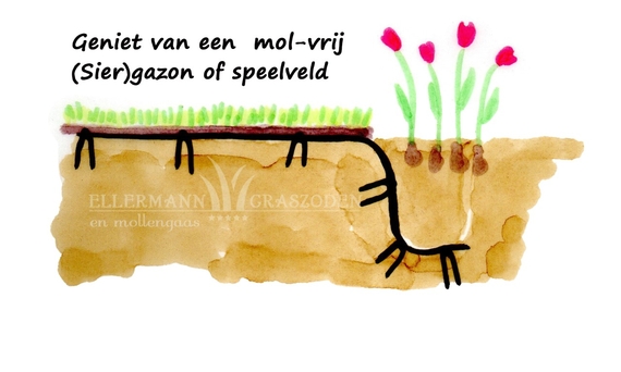 Mollengaas effectief plaatsen - een duidelijk visueel stappenplan!
