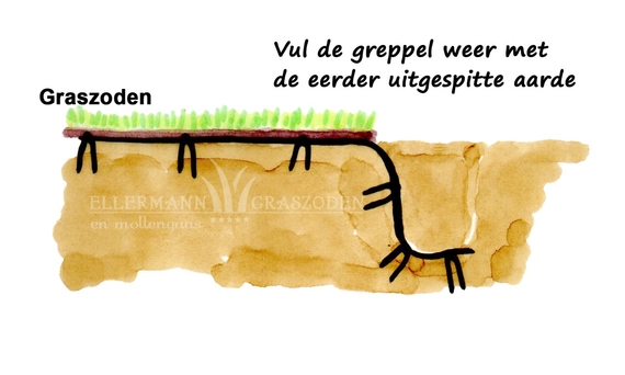 Mollengaas effectief plaatsen - een duidelijk visueel stappenplan!